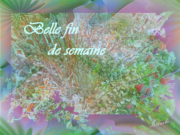 BELLE FIN DE SEMAINE