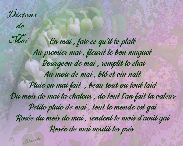 DICTONS DU MOIS DE MAI